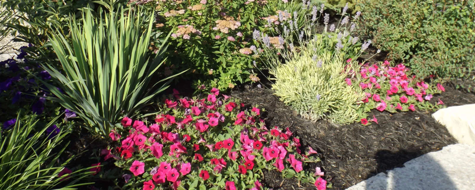 Landscape & Design | Bruce Peninsula